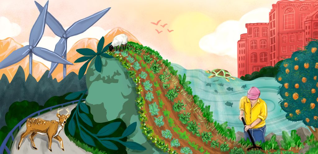 What We Do-Environmental Impact - DoGoodery